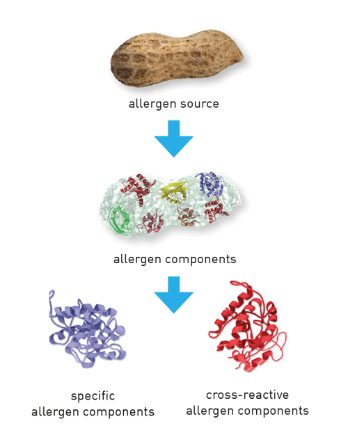IMD Institut für medizinische Diagnostik, Labor: ImmunoCAP® ISAC IgE ...